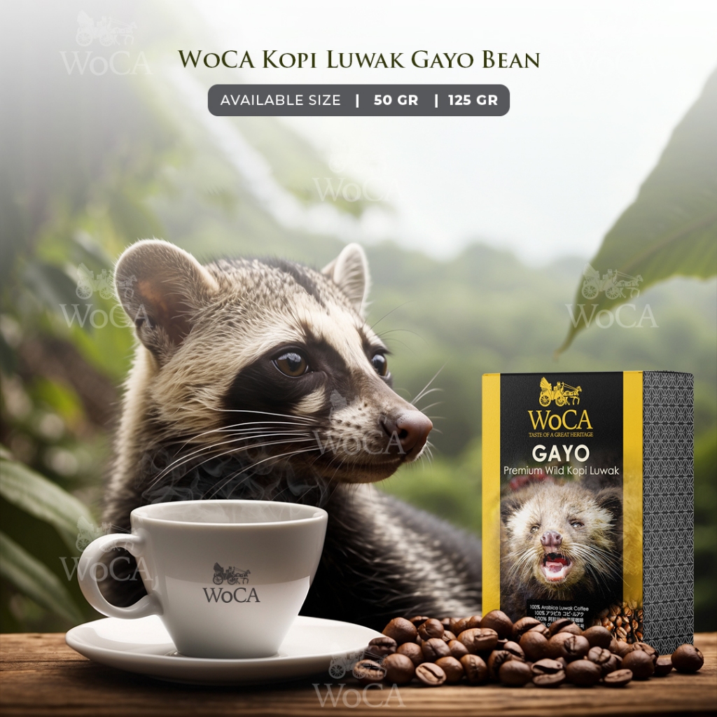 Jual WoCA Kopi Luwak Gayo 50 gram Bean | Shopee Indonesia