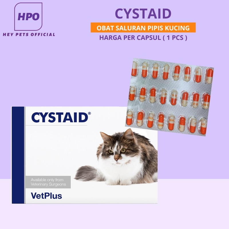 Jual Cystaid Plus CystaidPlus Kapsul Obat Gangguan Saluran Kencing ...