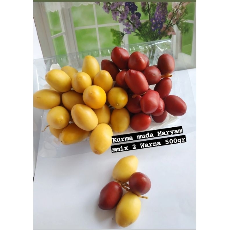 Jual KURMA MUDA MIX 1KG FRESH /SEGAR+ BONUS ZURIAT PROMIL MARYAM FRESH ...