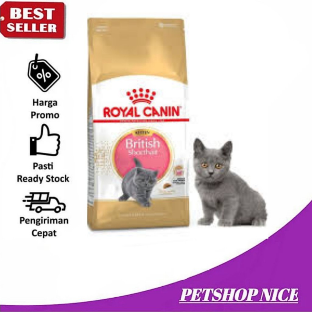Jual royal canin british shorthair kitten 2kg rc bsh 2 kg | Shopee ...