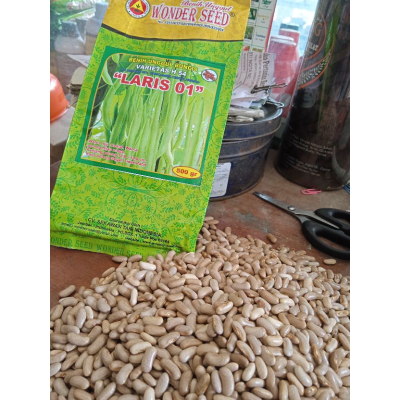 Jual benih buncis biji coklat LARIS 01. kemasan 500 gram | Shopee Indonesia