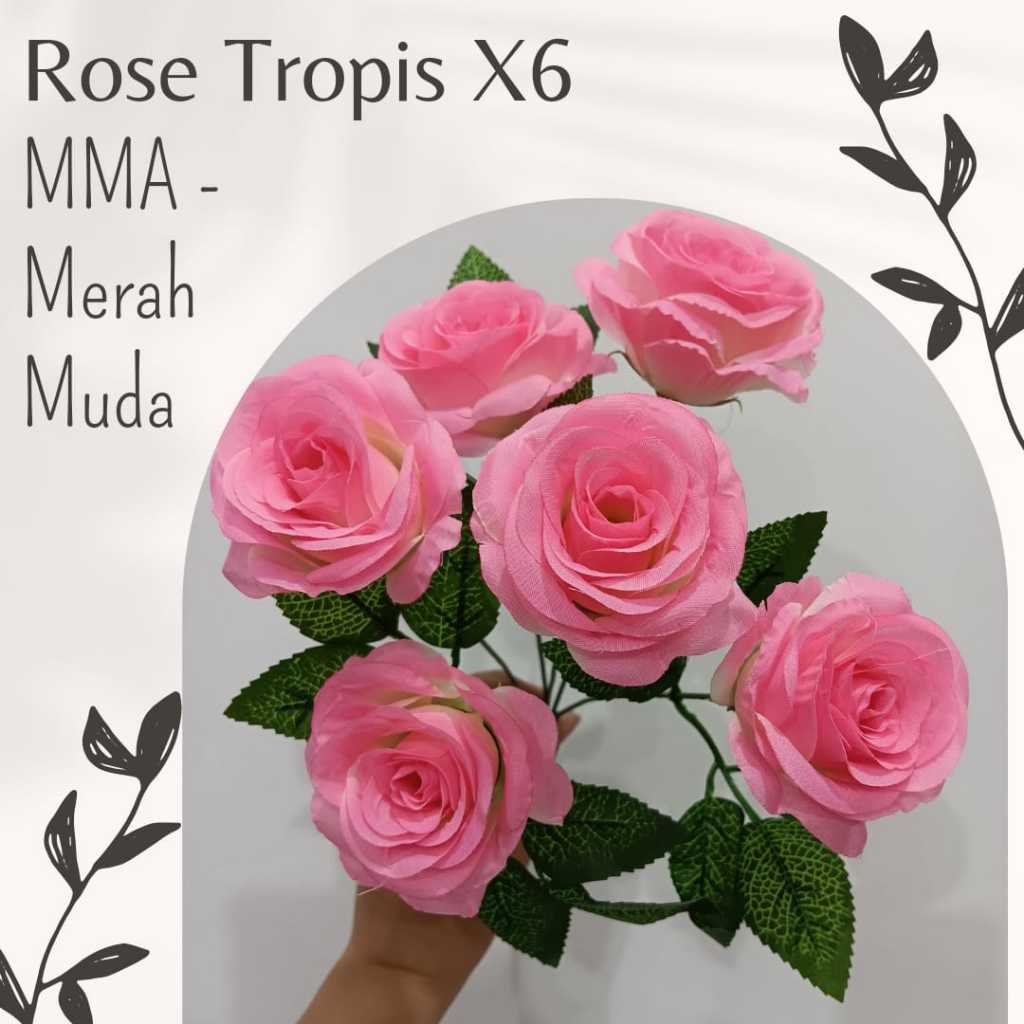 Jual Bunga Mawar Rose Tropis Cabang 6 / Ecer RT6 | Shopee Indonesia