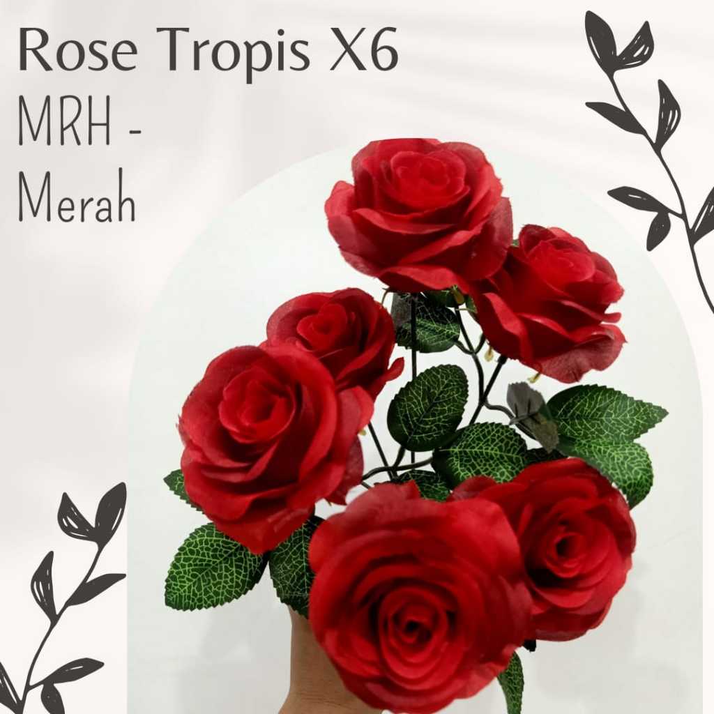 Jual Bunga Mawar Rose Tropis Cabang 6 / Ecer RT6 | Shopee Indonesia