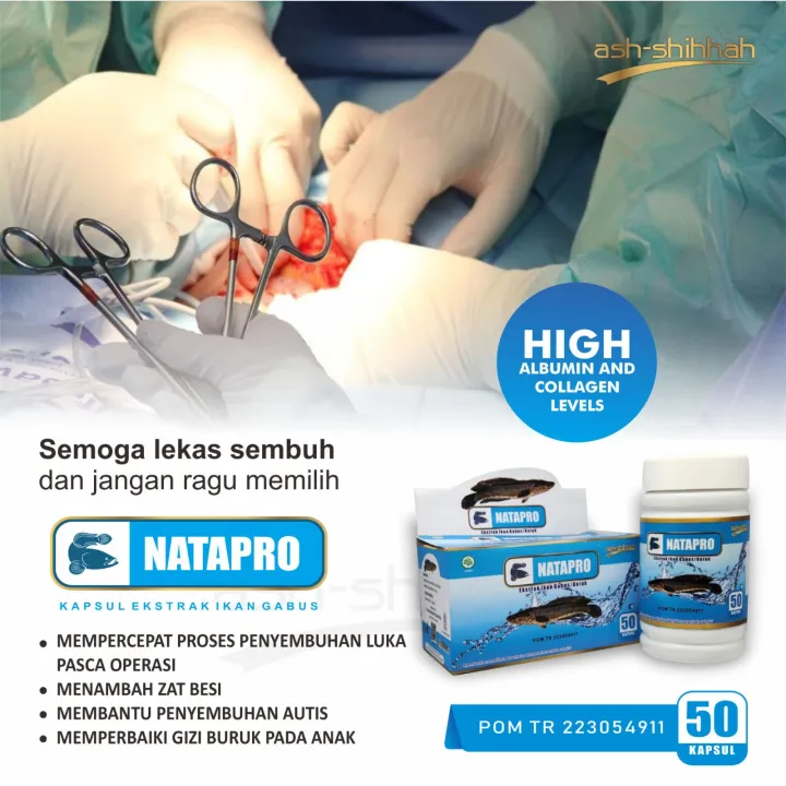 Jual Kapsul Ekstrak Ikan Kutuk / Gabus Natapro Original Ash-Shihhah ...