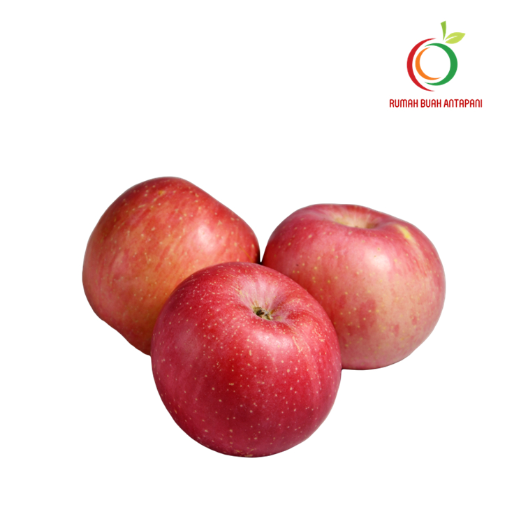 Jual Apel Fuji China Segar 500 Gram | Shopee Indonesia