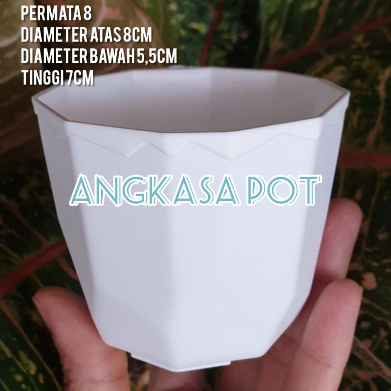 Jual Pot Permata putih 8cm pot kecil, pot kaktus, pot mungil cantik ...