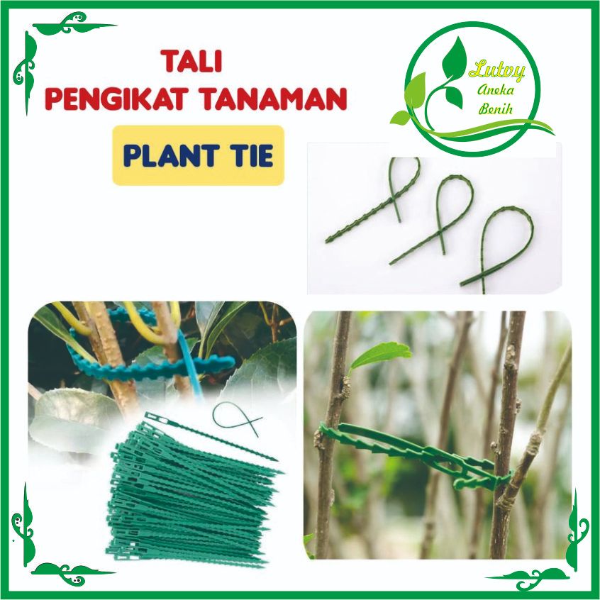 Jual Tali pengikat tanaman (plant tie) | Shopee Indonesia