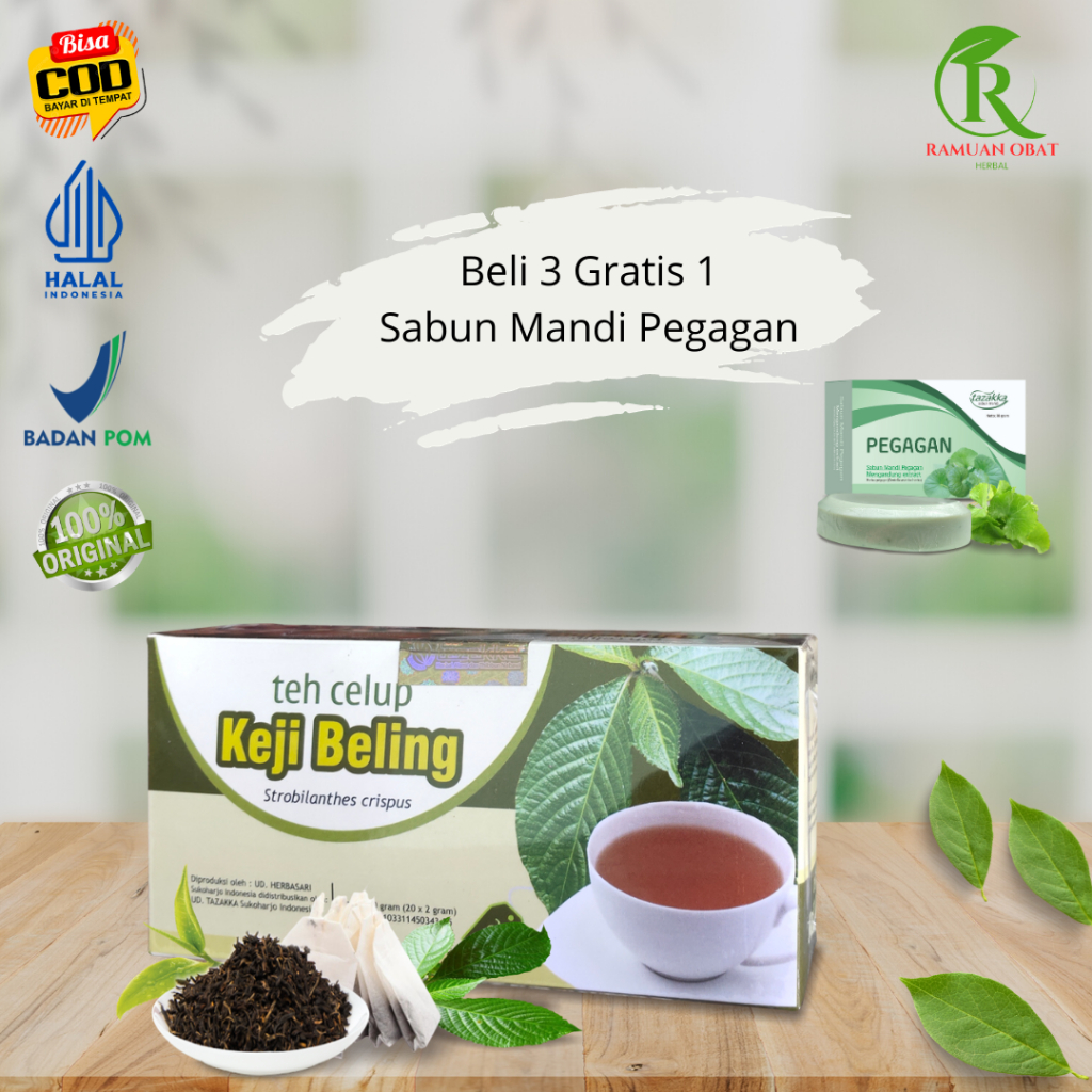 Jual Minuman Kesehatan Teh Celup Keji Beling Tazakka Pengolahan Teh ...