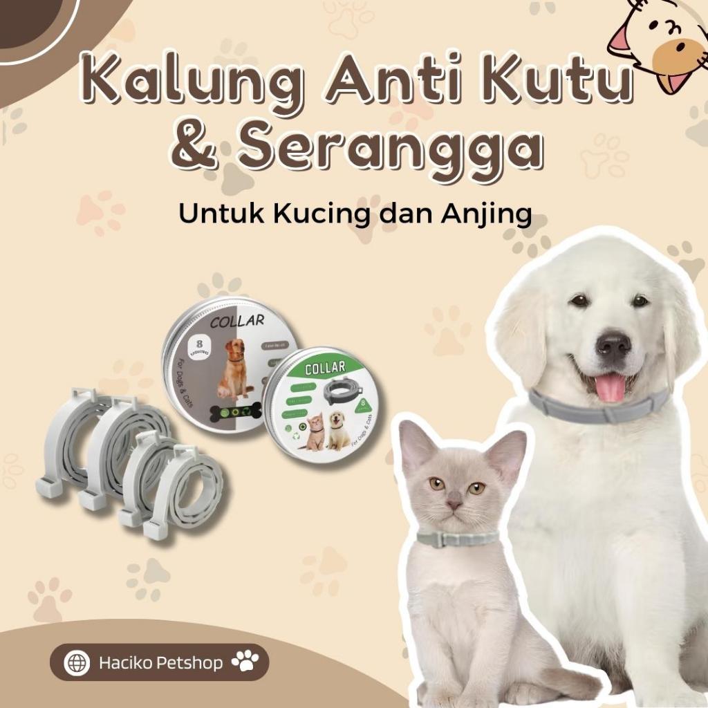 Jual [HACIKO PETSHOP] Kalung Anti Serangga Untuk Hewan Peliharaan Pengusir Kutu Kucing Anjing ...