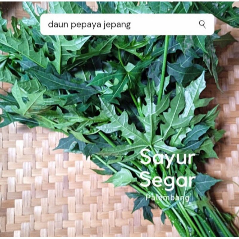 Jual Daun Gedi / pepaya jepang 1 ikat sayur segar palembang | Shopee ...