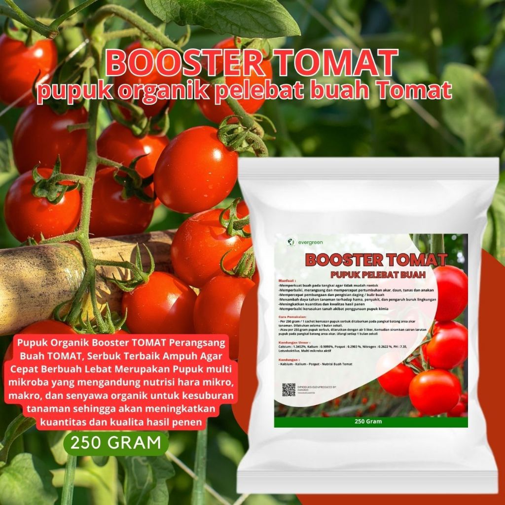 Jual Pupuk Tomat Organik Terbaik Booster Tomat Cepat Berbuah Lebat Penyubur Tanaman Tomat ...