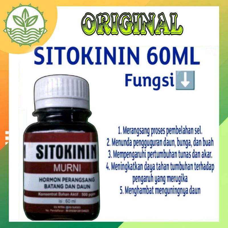 Jual SITOKININ HORMON PERANGSANG BUAH DAN BATANG MURNI 60ML/ ZPT BATANG ...