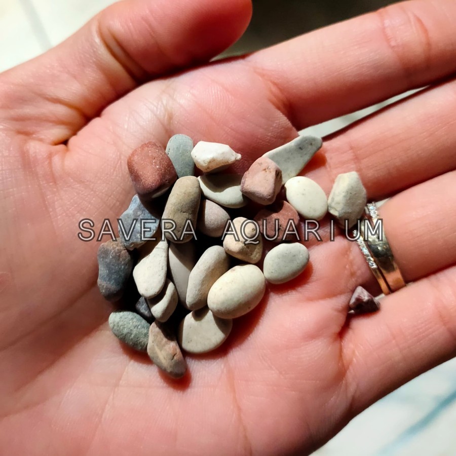 Jual BATU MIC 1 KG - HIASAN DASAR AQUARIUM - BATU PANCA WARNA - BATU ...