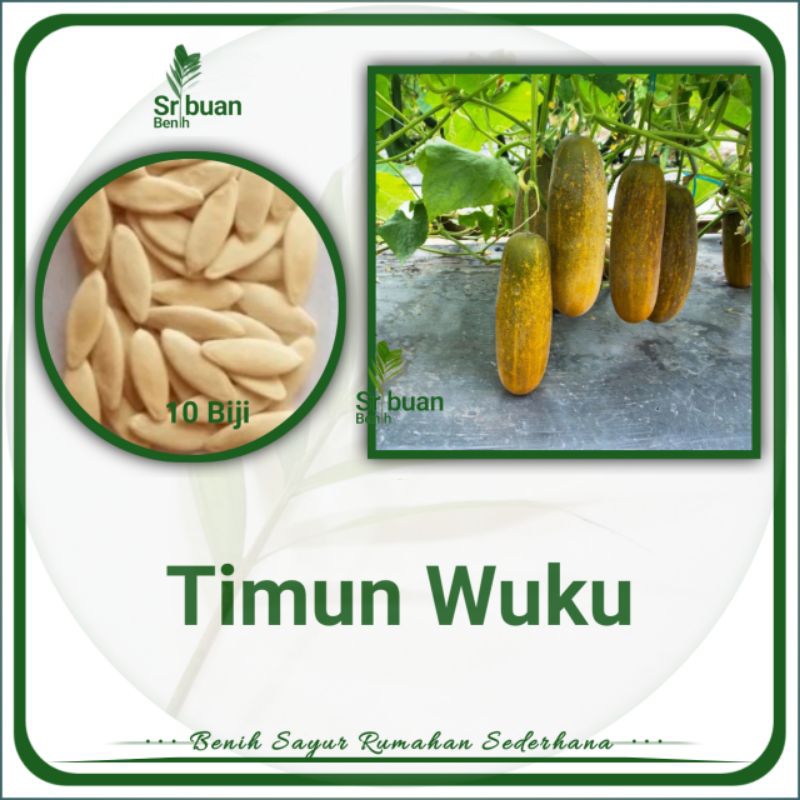 Jual 10 Butir Biji Benih Timun Wuku Benih Sayuran Buah | Shopee Indonesia
