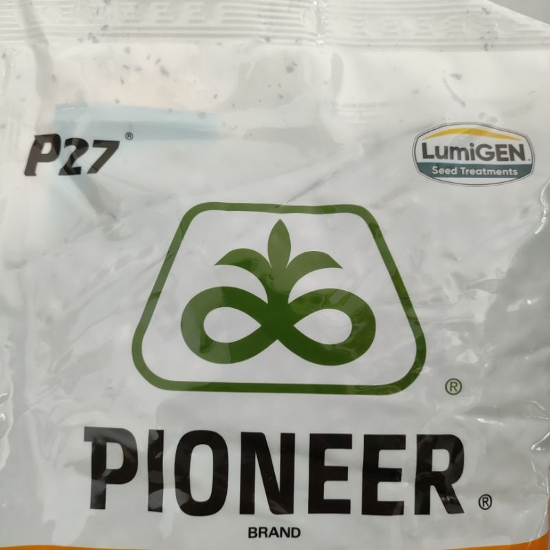 Jual PIONEER - Benih Jagung P27 Gajah Lumigen 1 kg | Shopee Indonesia