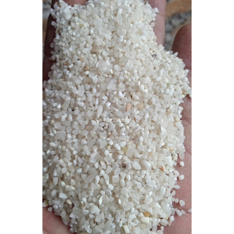 Jual [Dharma Phala Bali] Beras Menir/Broken/Pecah/Mincid Tumpeng Penek ...