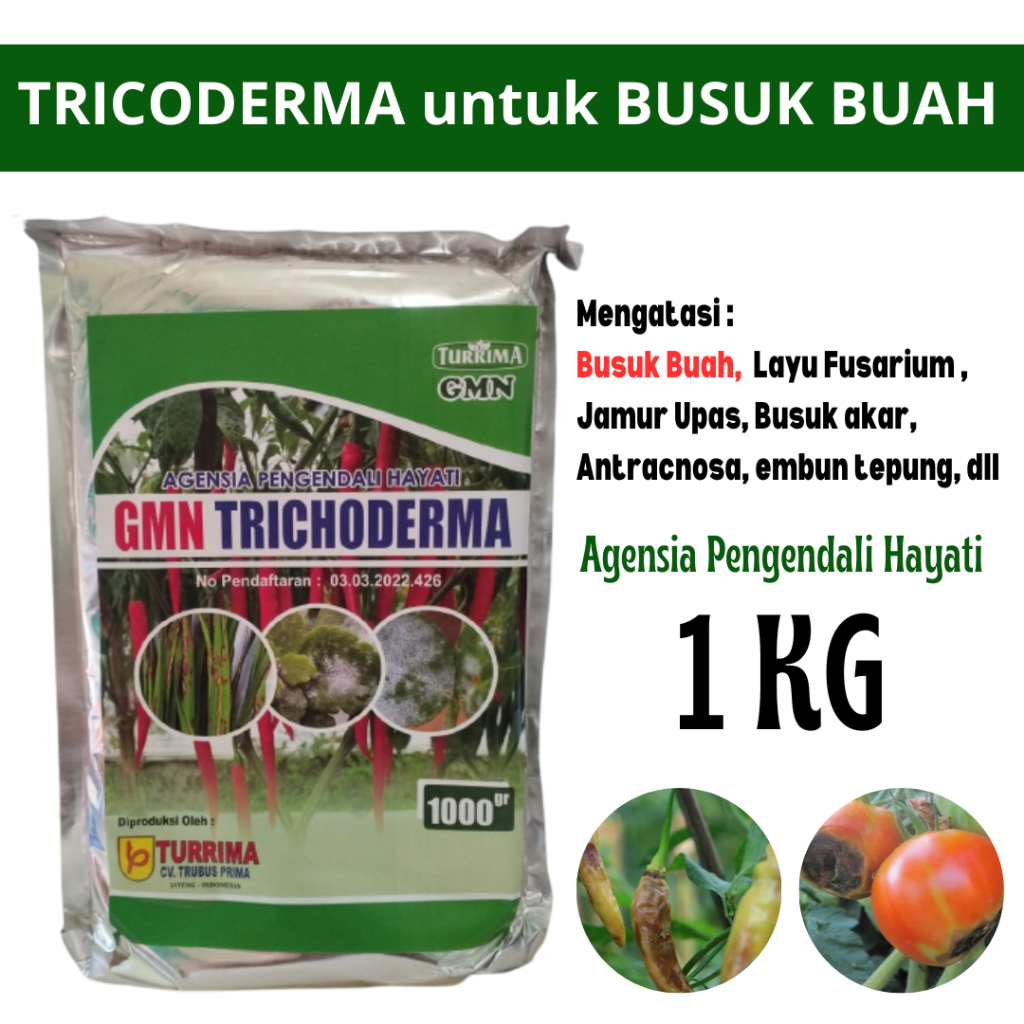 Jual Pupuk hayati tricoderma 1 kg, trikoderma fungisida, obat busuk buah cabe | Shopee Indonesia
