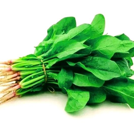 Jual 10 Butir Benih/Bibit/Biji Bayam daun lebar/Spinach | Shopee Indonesia