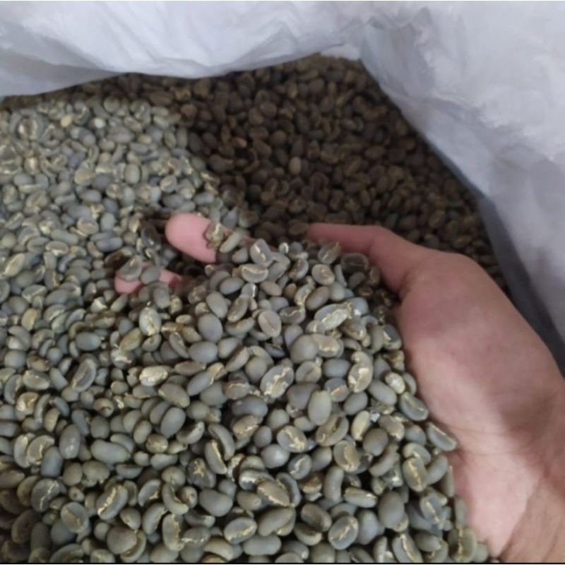 Jual Green Bean / Biji kopi Arabica Flores Bajawa Semi || wash/arabica ...