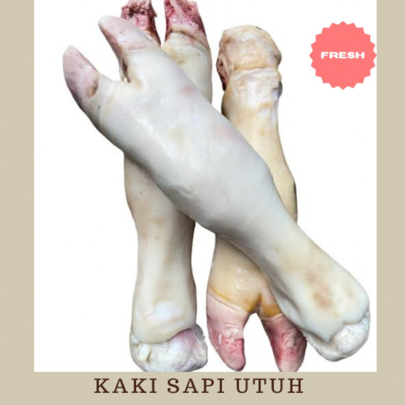 Jual Kaki Sapi utuh Cokor Sapi Utuh Tulang Sumsum Rebus dan Bersih ...