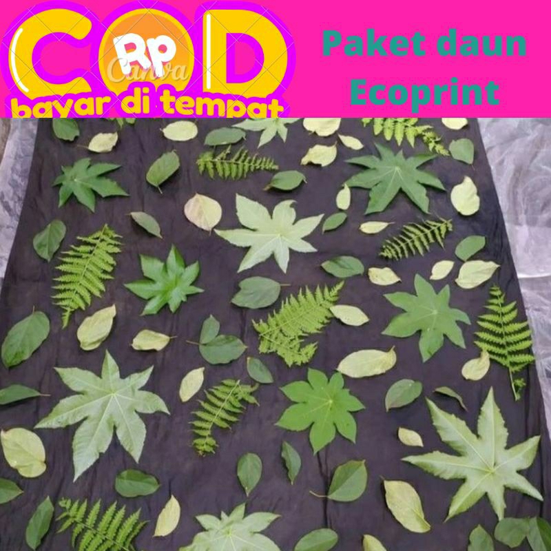 Jual paket daun Ecoprint isi 100 lembar | Shopee Indonesia