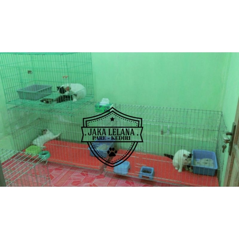 Jual KANDANG BOX KUCING P.120 CM × L.60 CM × T.70 CM GALVANIS | Shopee ...