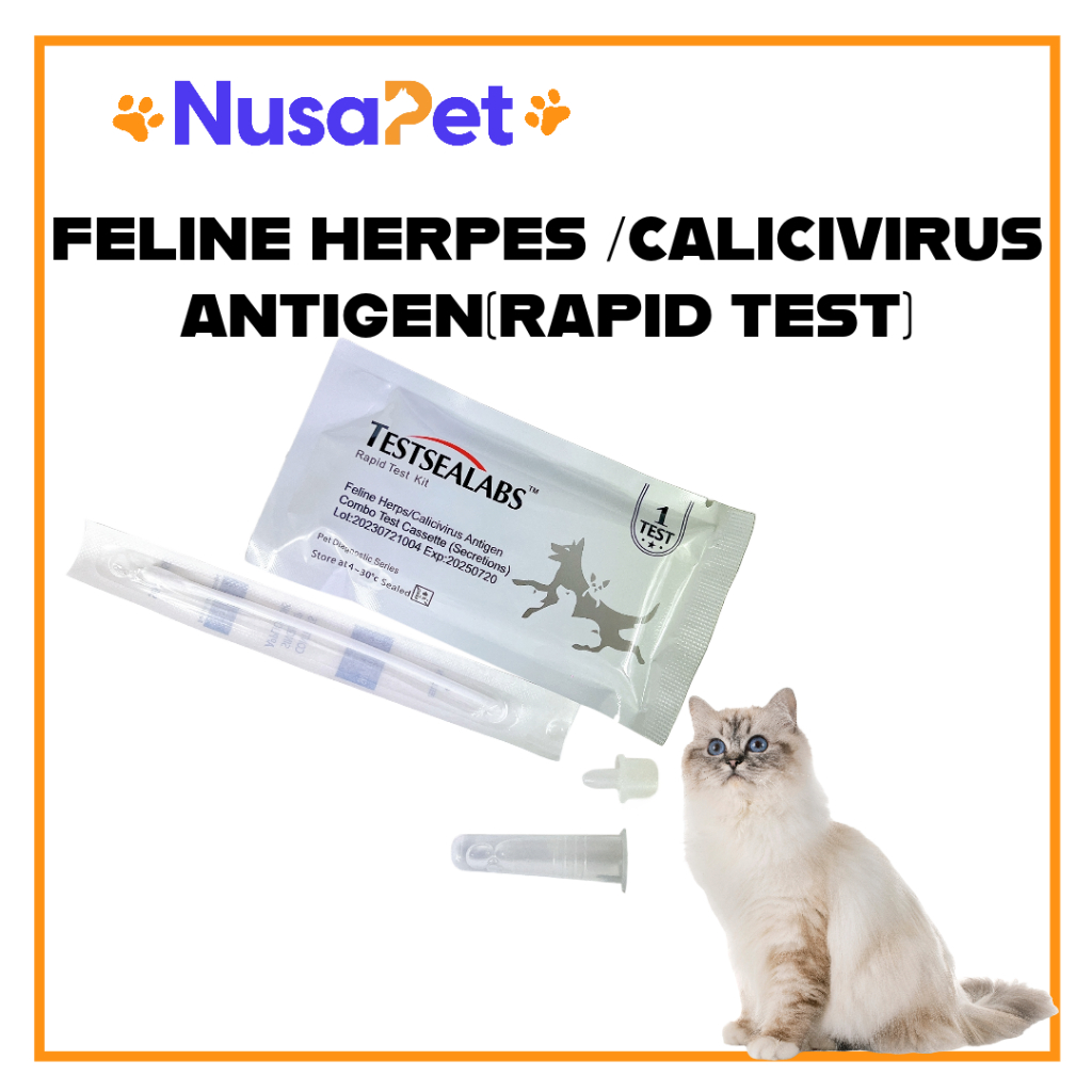 Jual Alat Test Kit Virus Kucing Herpes & Calicivirus – Flu Kucing (1 ...