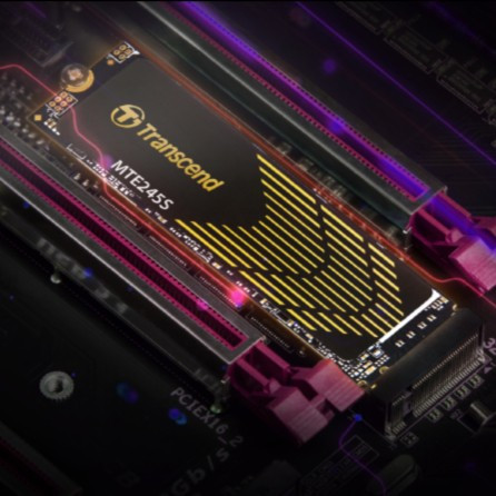 Jual TRANSCEND MTE245S 2TB SSD PCIE 4.0 GEN4 M.2 NVME TS2TMTE245S | Shopee Indonesia