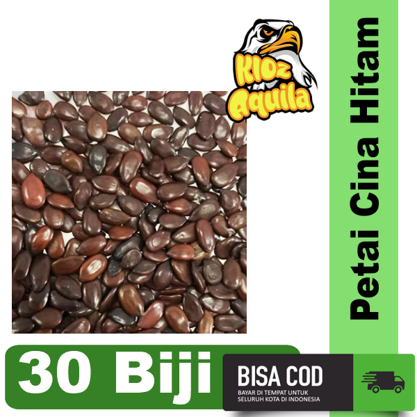 Jual Biji Petai Cina Hitam Per 30 Pcs | Shopee Indonesia