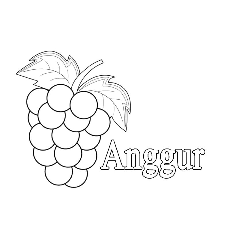 Jual Buku / lembar kertas mewarnai gambar buah anggur | Shopee Indonesia