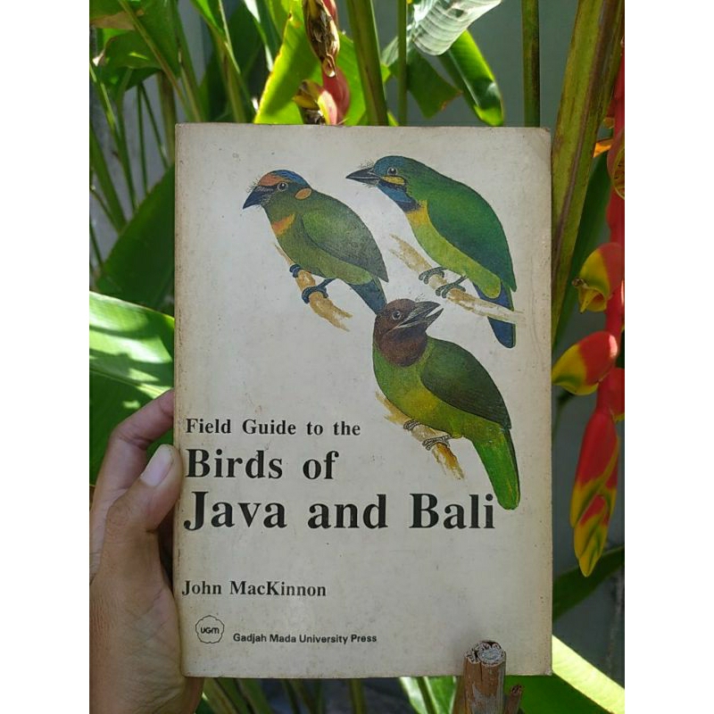 Jual Buku Field Guide to the Birds of Java and Bali | Shopee Indonesia