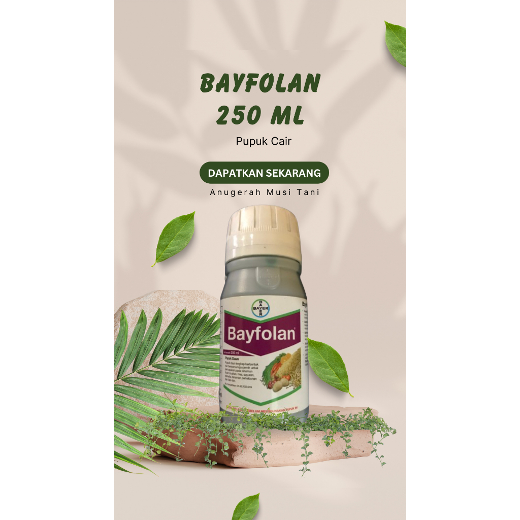 Jual Bayfolan 250 ml | Shopee Indonesia