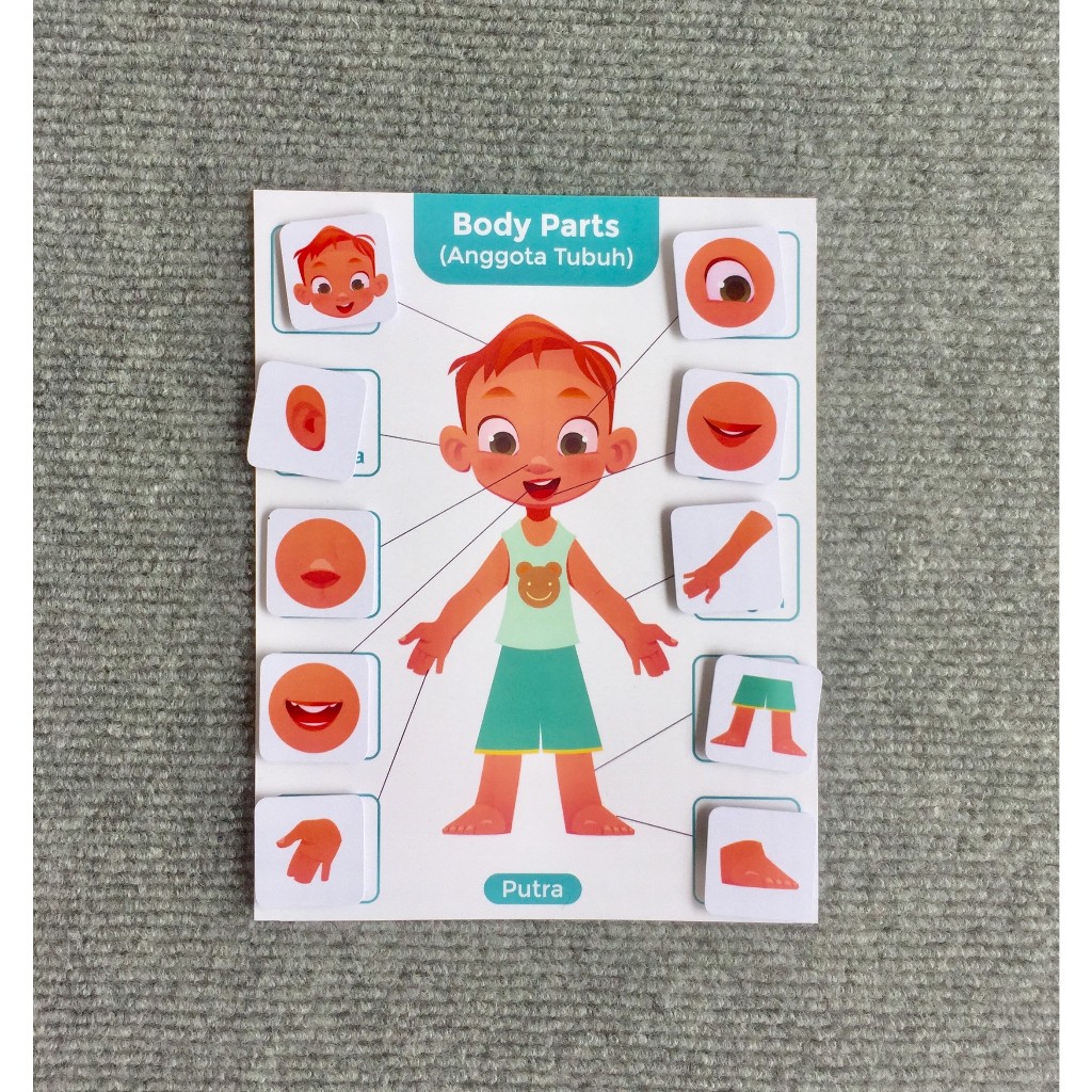 Jual Body Parts Busy Page Mainan Edukasi Anak untuk Mengenal Anggota ...