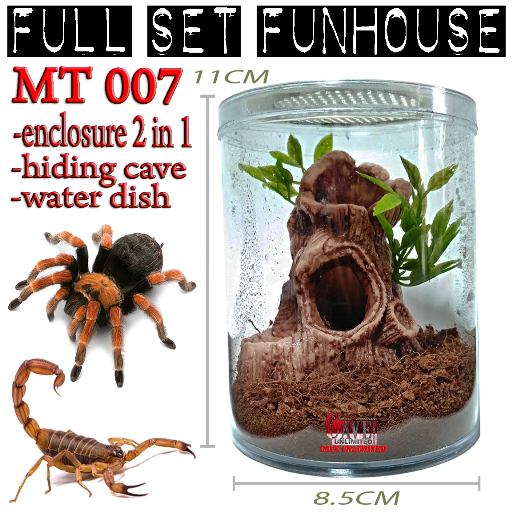 Jual MT007 PAKET ENCLOSURE TERRARIUM KANDANG TARANTULA ARBOREAL BURROW ...