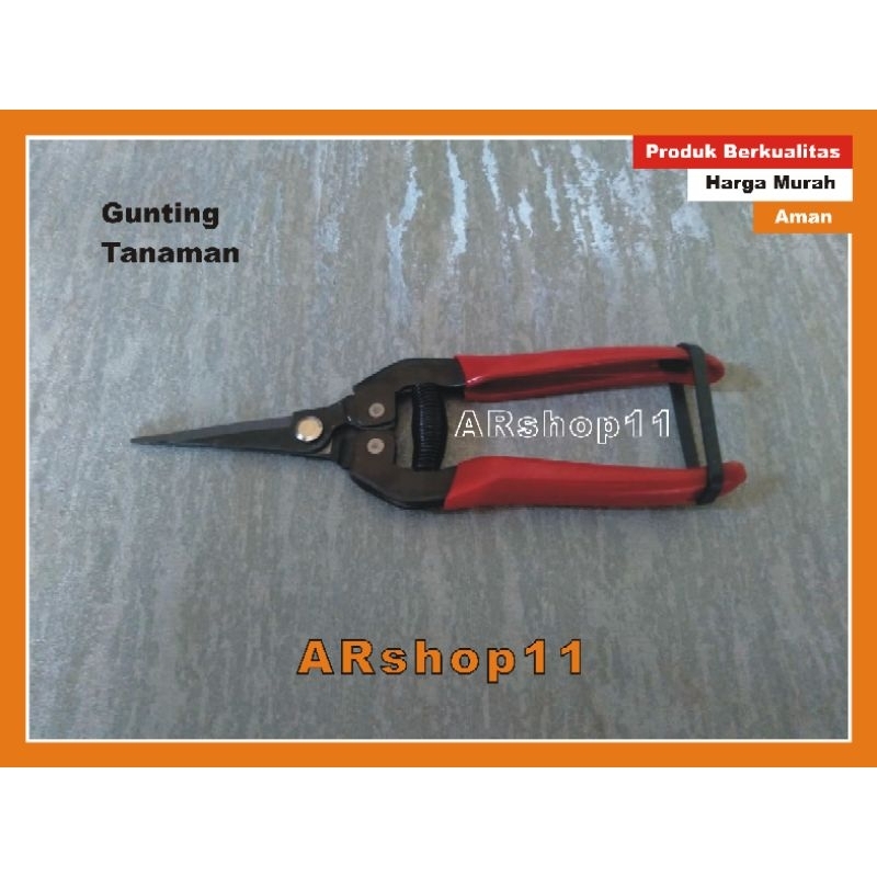 Jual Gunting Bonsai , Gunting Lancip , Gunting Stek , Gunting Tanaman ...