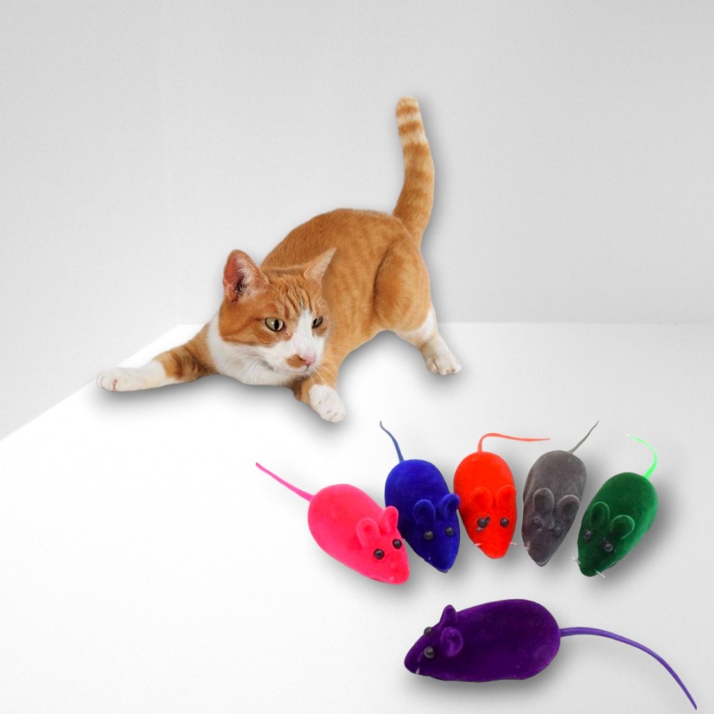 Jual Mainan Kucing Peliharaan Tikus Bunyi Cit Cit ( Saat Di Tekan ...