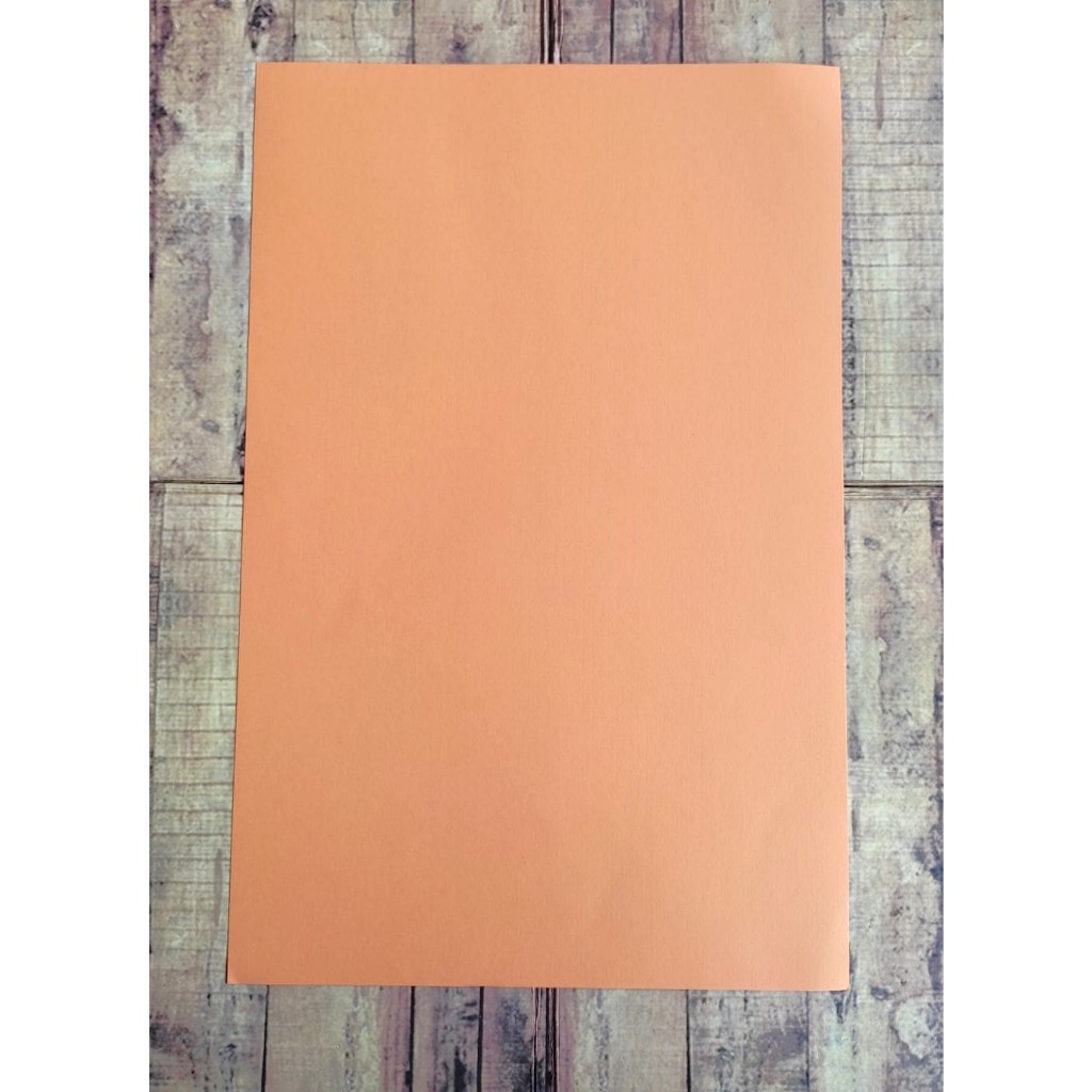 Jual 1 Lembar Kertas Cover Jilid Manila F4 / Brief Card (BC) Putih ...