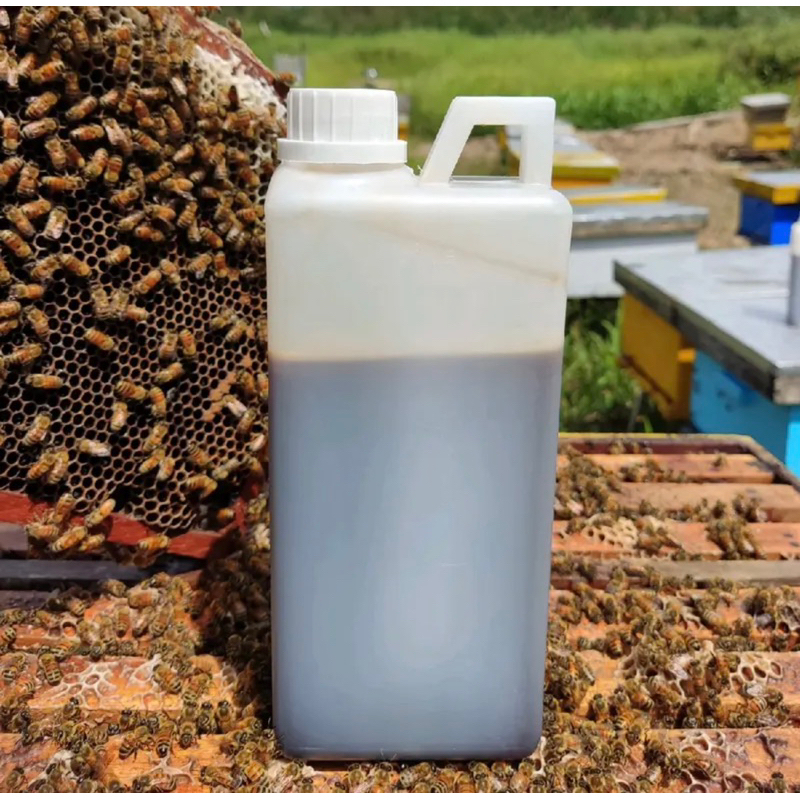 Jual Madu Hutan Akasia Sumatra 1 kg | Shopee Indonesia