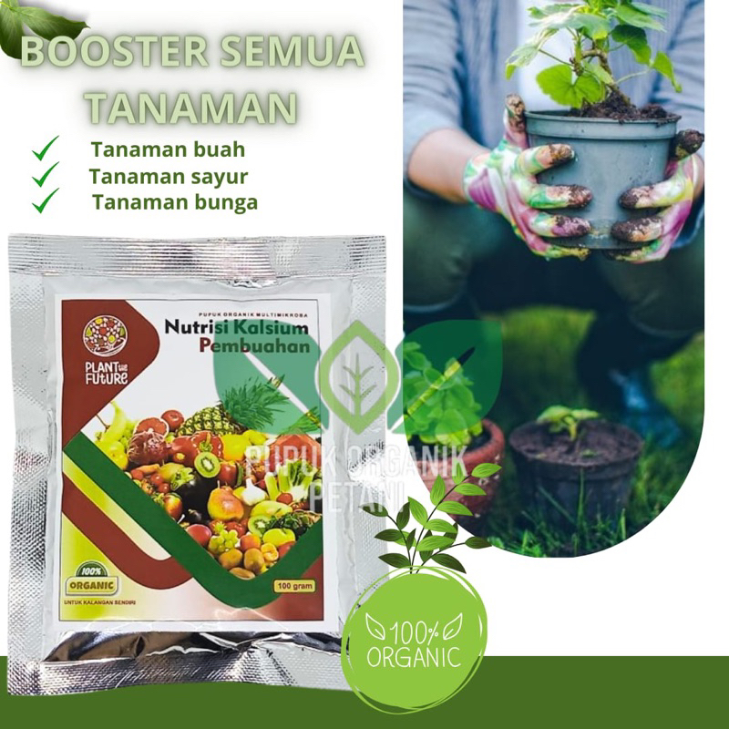Jual Pupuk Booster Semua Jenis Tanaman 100 gram Pelebat Buah Organik Pemacu Pembuahan Nutrisi ...