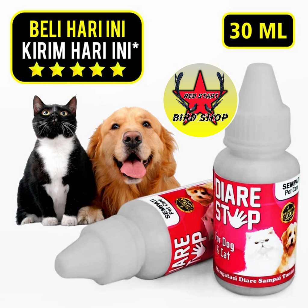 Jual Obat Kucing Mencret Diare Stop 30 Ml Obat Kucing Sakit Lesu Kurus ...