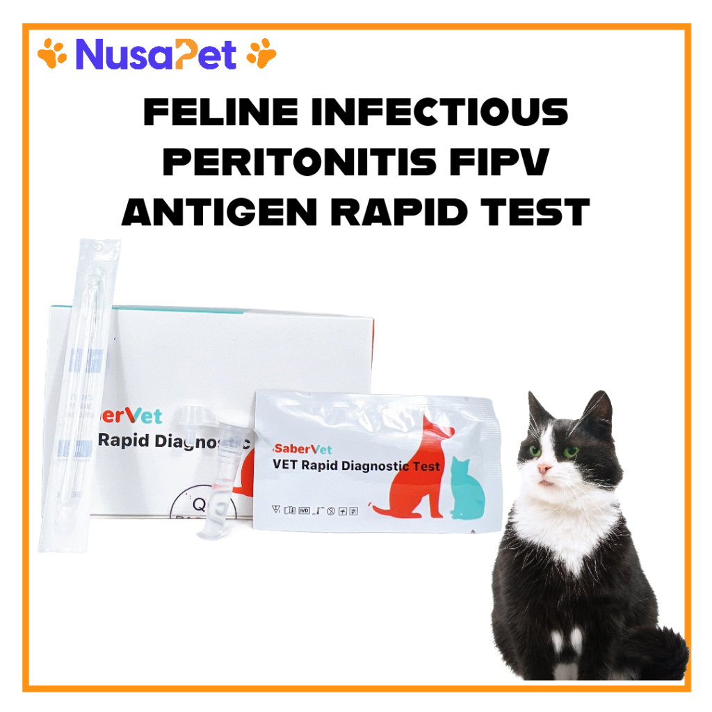 Jual FELINE INFECTIOUS PERITONITIS FIPV ANTIGEN RAPID TEST SABER VET ...