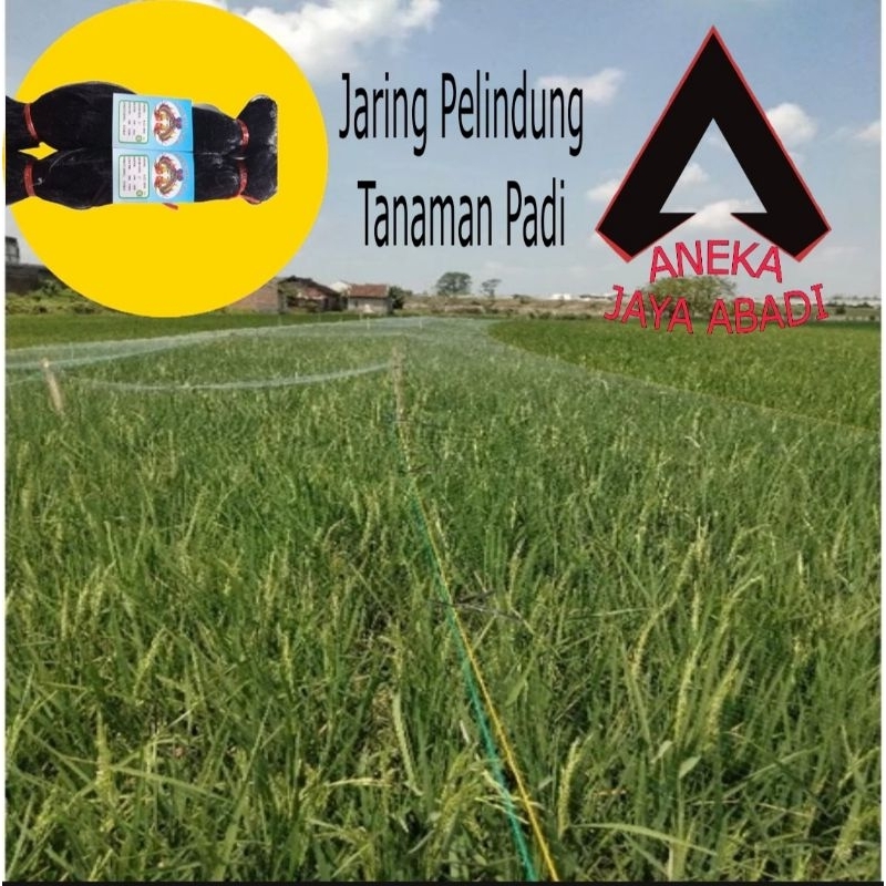 Jual JARING BURUNG SAWAH PAGAR PELINDUNG TANAMAN PADI PERTANIAN ...