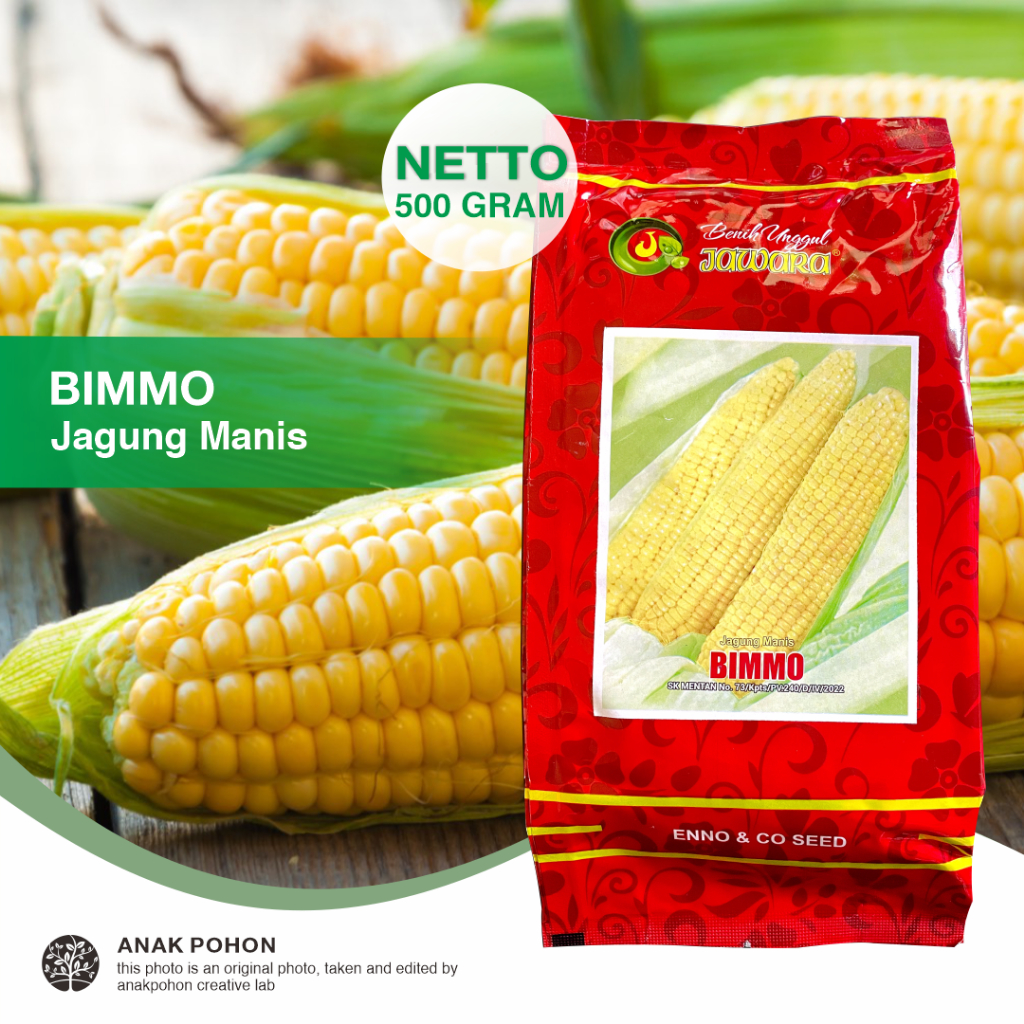 Jual (1 PACK) Benih Jagung Manis BIMMO Seeds - BENIH UNGGUL JAWARA ...