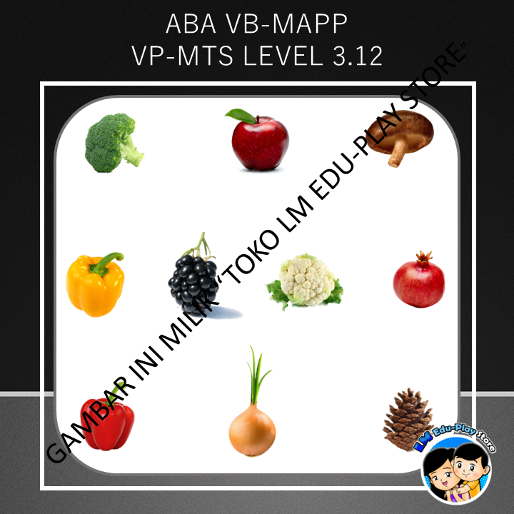 Jual Kartu Belajar ABA VB-MAPP VP-MTS Level 3 (12) | Shopee Indonesia