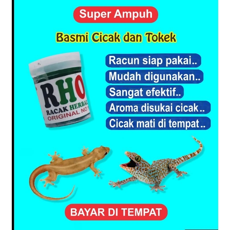 Jual RACAK HERBAL ORIGINAL RHO NO 1 AMPUH BASMI CICAK TOKEK DAN KECOA ...