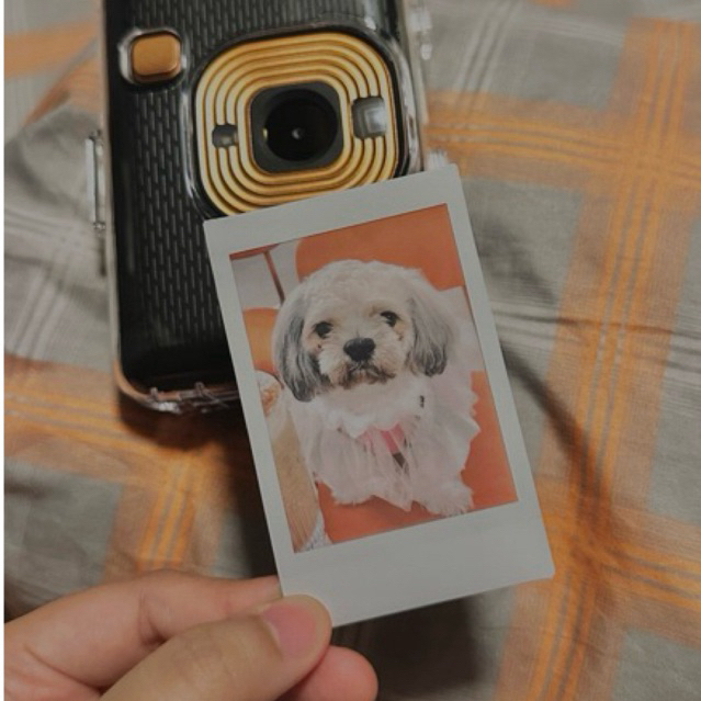 Jual Instax Mini Print Sehari Jadi (Polaroid) | Shopee Indonesia