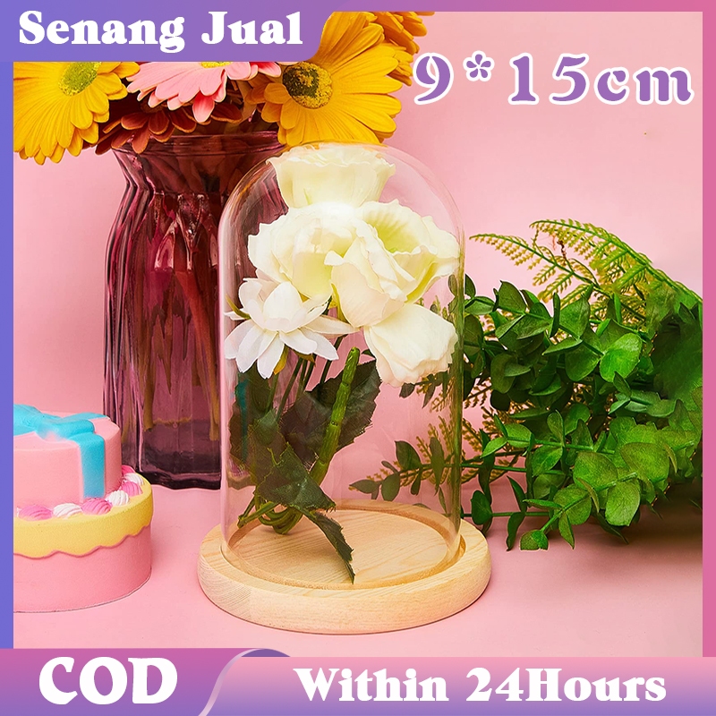 Jual 9*15cm Glass Dome Flower Dome Bunga Dekorasi Desktop Vas Kaca ...