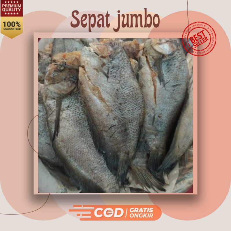 Jual ikan asin sepat Siam jumbo & sepat kering size sedang & jumbo ...