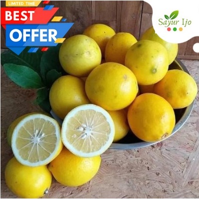 Jual Lemon California Lokal 450 - 500 Gram Fresh Lime Limau Buah Jeruk Segar | Shopee Indonesia