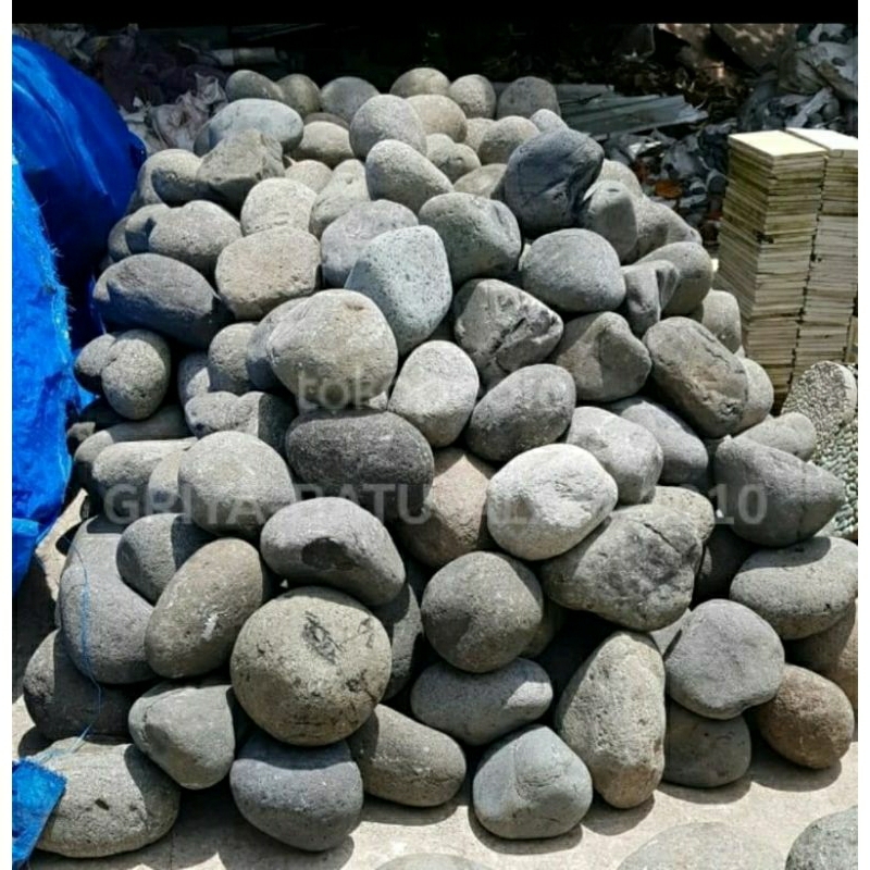 Jual BATU ALAM KOLAR KORAL KALI 20 Cm | Shopee Indonesia